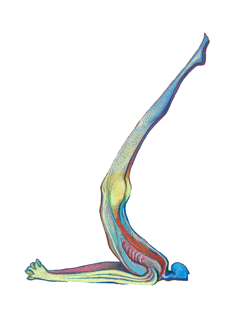 Art Print. Graphikasana, Backbends, Inverted Locust pose (Viparita Sha ...